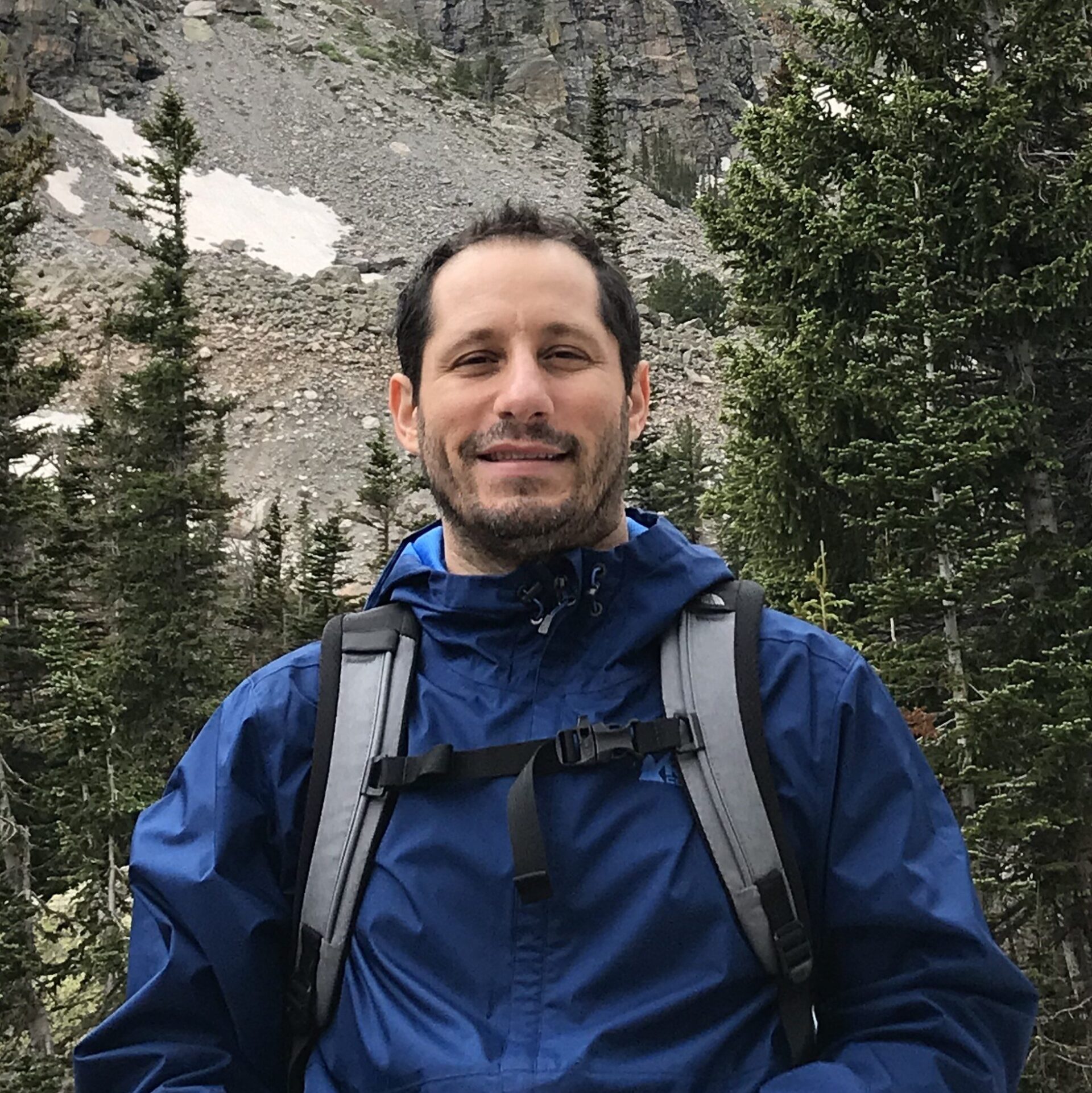 Officers, Executive Committee & Constitution – BRASA: Brazilian Studies ...